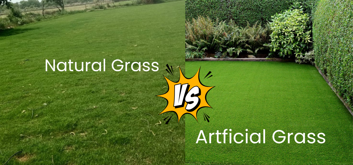 Natural vs Artificial Turf: Which Is the Better Choice? - Kaya Sports